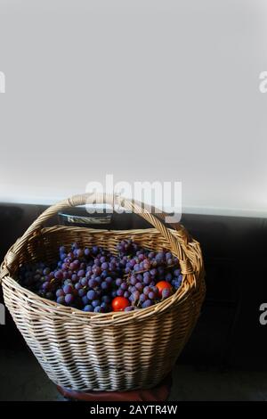 Still life with grapes in a wicker basket. Drawing in a frame. Leaf 3 ...