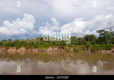 Rainforest along the Ucayali River in the Peruvian Amazon River basin ...