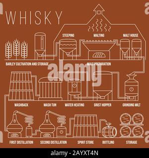 Whiskey production infographic process vector illustration. Cartoon flat info education poster ...