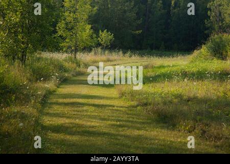 Path mowed in grass Stock Photo - Alamy