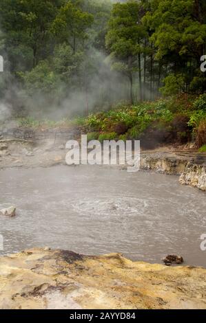 hot volcanic steam on the azores islands Stock Photo - Alamy