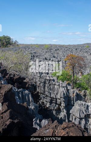 View of the bizarre limestone pinnacles known as Tsingy at Ankarana ...