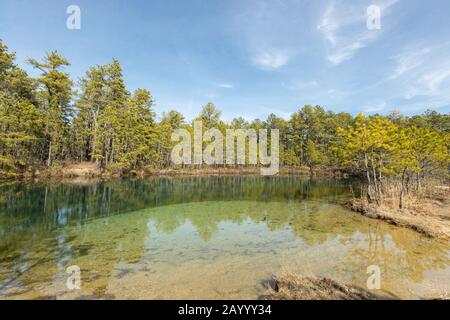 Clear sand pond in the NJ pine barrens Stock Photo - Alamy