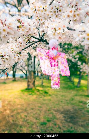 Teru Teru Bozu. Japanese Rain Doll hanging on Sakura tree to pray for ...