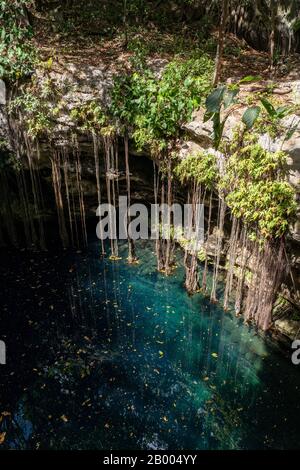 Lol-Ha cenote and swimming pool sinkhole in the Yucatan peninsula ...