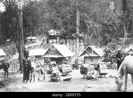 China: A Hui Muslim mule caravan passing through a village in western ...