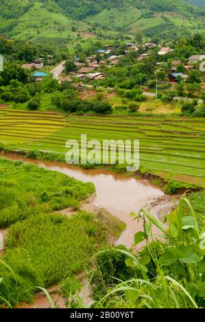 Rice fields, rice terraces, Chiang Rai, Chiang Rai Province, Northern ...