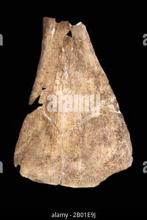 Oracle bone carved with characters. Late Shang Dynasty (13th century B ...