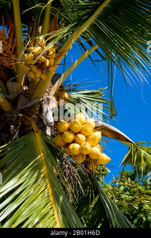 Maldives: Maradhoo Island, Addu Atoll (Seenu Atoll). Asia's smallest ...