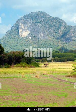 An image of paddy fields located in Ilog-Bulo, San Miguel, Bulacan ...