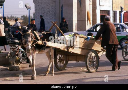THE DONKEY CABBAGE Stock Photo - Alamy