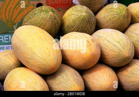 Hami in xinjiang karez, oasis, gobi Stock Photo - Alamy