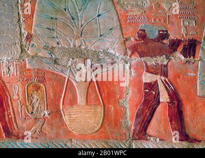 mission to the Land of Punt, Queen Hatshepsut, the fifth pharaoh of the ...