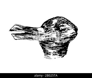 Optical illusion and trick art Illustration of an animal conversion to ...
