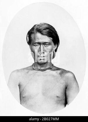 Creole Indian Tribes