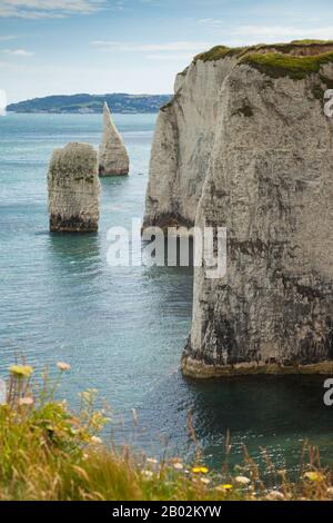 Rock formation of Old Harry Rocks Stock Photo - Alamy