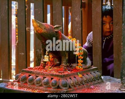 According to Hindu mythology, all animals were created by the god Shiva ...