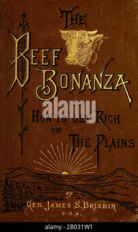 The beef bonanza Stock Photo - Alamy