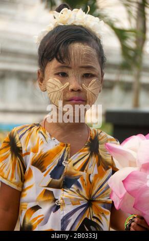 Thanaka or thanakha is a cosmetic paste made from ground bark. It is ...