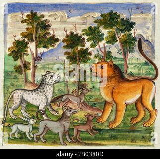 Manuscript with story about a dog and a wolf Stock Photo - Alamy