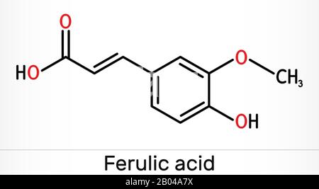 Ferulic acid herbal antioxidant molecule. Stylized skeletal formula ...