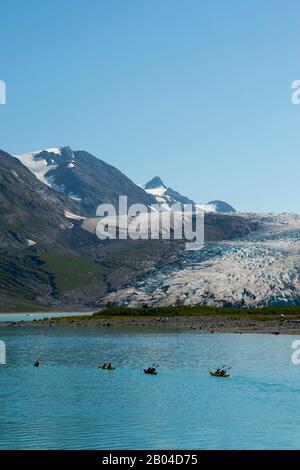 reid glacier in glacier bay, near gustavus, southwest alaska, usa Stock ...