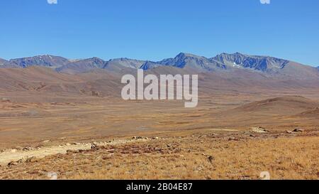 Alpine forest in autumn, Hunza, Gilgit-Baltistan, Pakistan Stock Photo ...