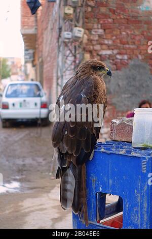 Hunza Street View Stock Photo - Alamy