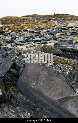 Petroglyph Beach, near Wrangell, Alaska, has fine examples of ancient ...