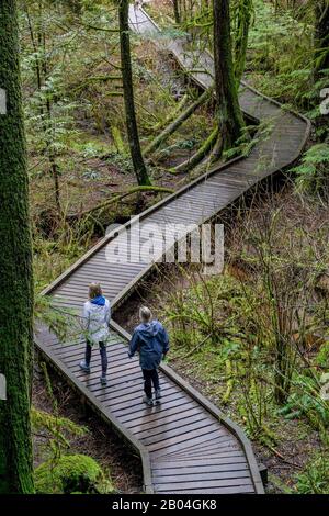 Hikers on Varley trail boardwalk, Lynn Headwaters Regional Park North ...