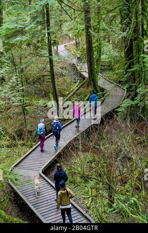 Hikers on Varley trail boardwalk, Lynn Headwaters Regional Park North ...
