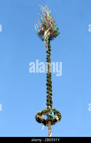 May tree 1 May tradition in germany Stock Photo - Alamy