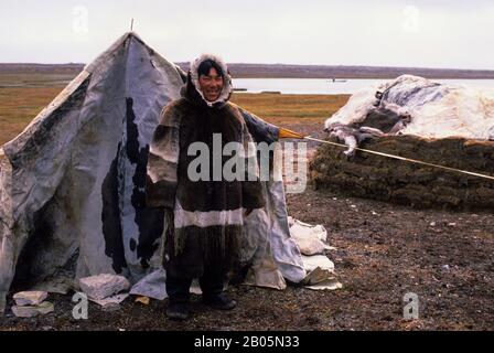 eskimo summer tent skin seal hide leather family arctic inuit Esquimaux ...