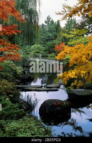 USA, Washington, Seattle, Arboretum Japanese Garden (Large format sizes ...
