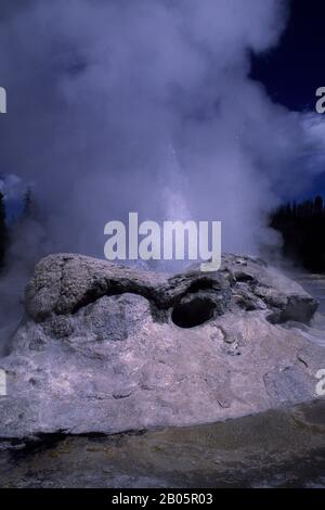 Grotto Geyser, Upper Geyser Basin, Yellowstone National Park by ...