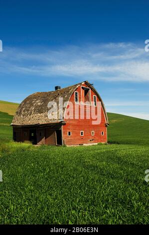 USA, Washington State, The Palouse, red barn Stock Photo - Alamy