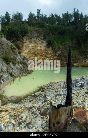 Dead trees on the Colourful Sulphureous Crater lakes Wawo muda volcano ...