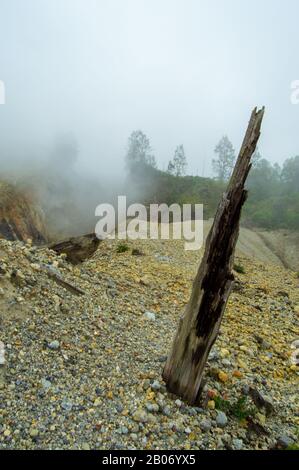 Dead trees on the Colourful Sulphureous Crater lakes Wawo muda volcano ...