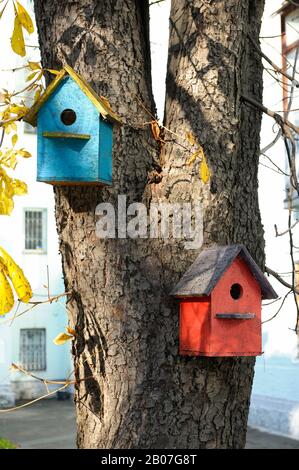 Treecreeper nesting box Stock Photo - Alamy