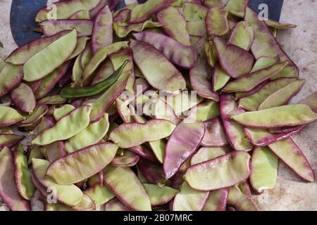 Sheem vegetable or Sim in Indian vegetable market Stock Photo - Alamy