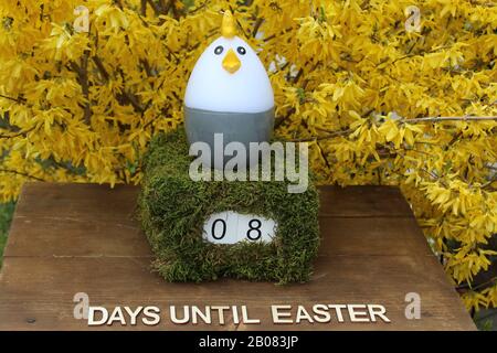The picture shows the easter countdown with a chicken Stock Photo - Alamy