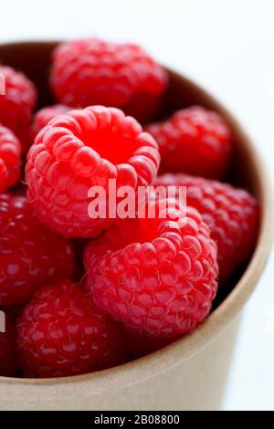 Freshly picked organic raspberries in recycled paper cup. High ...