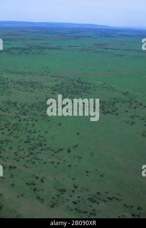 KENYA, MASAI MARA, AERIAL VIEW OF PLAIN Stock Photo - Alamy