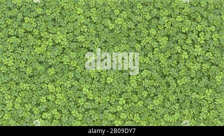 Green clover covering the screen on white background. 3D rendering ...
