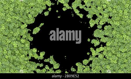 Green clover covering the screen on black background. 3D rendering ...