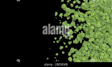 Green clover covering the screen on black background. 3D rendering ...