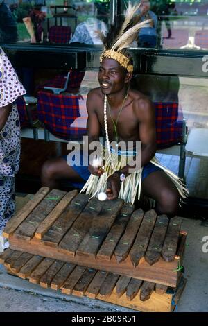Musician playing a local instrument, a xylophone or pattala, in the ...
