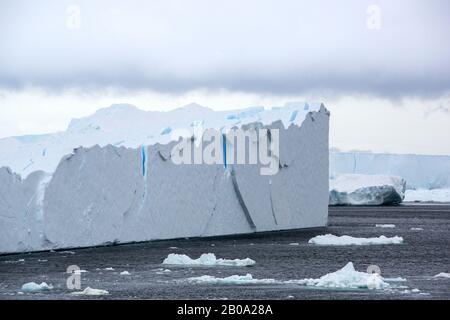 Tabular icebergs that have broken off the Larson C ice shelf floating ...