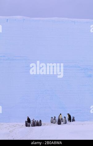 Tabular iceberg, Larsen C ice shelf, Weddell Sea, Antarctica Stock ...