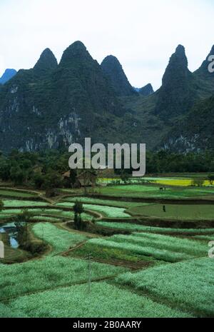 Village near mountain and agricultural fields at sunset. Nature ...